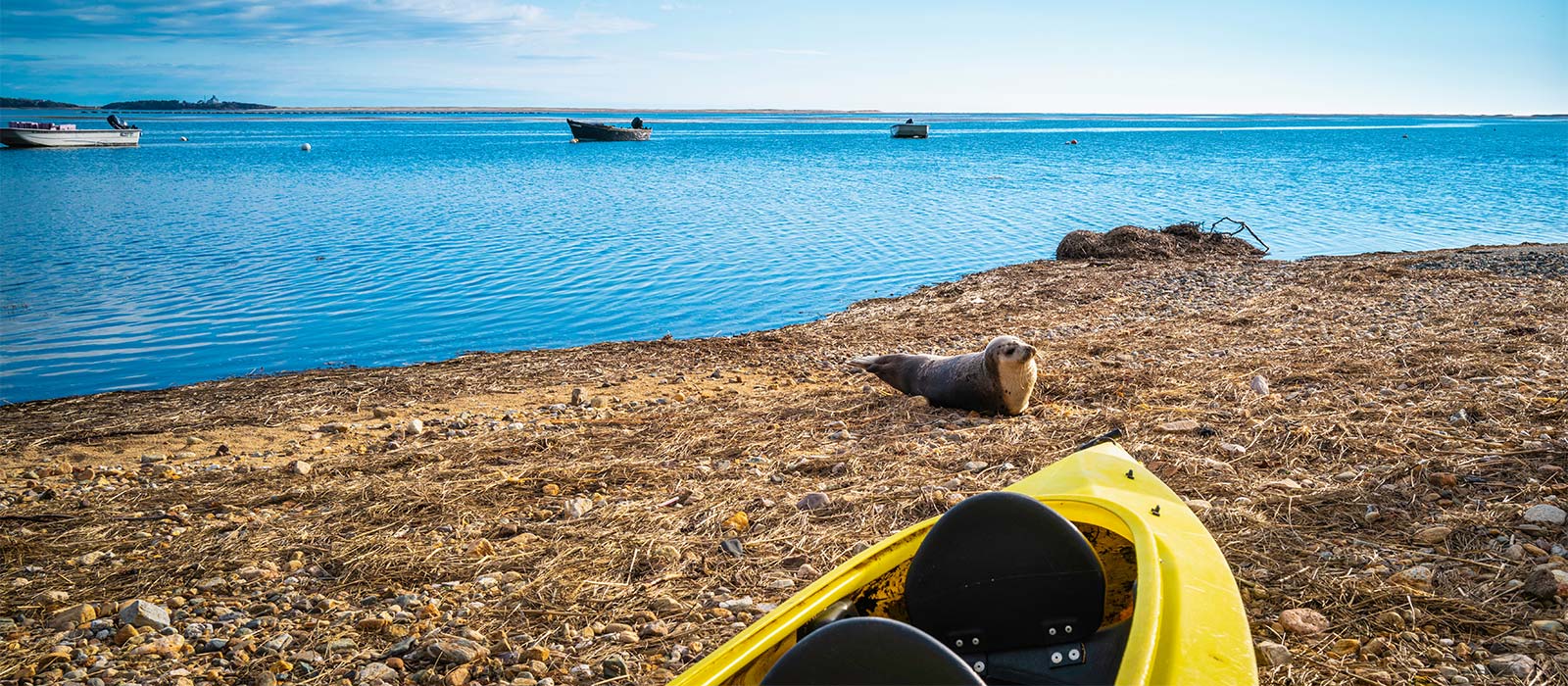 Cape Cod - Bursley Manor